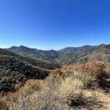 Rinconada Trail, California - 279 Reviews, Map | AllTrails