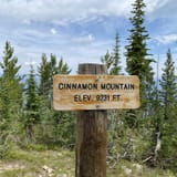 Cinnamon Mountain Trail, Montana - 231 Reviews, Map | AllTrails