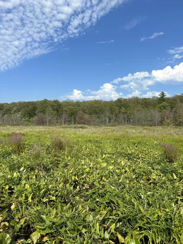 Hofma Preserve: Die besten Routen zum Wandern | AllTrails
