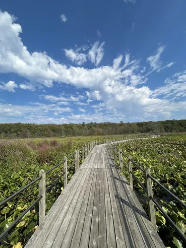 Hofma Preserve: Die besten Routen zum Wandern | AllTrails