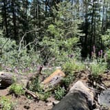 Deception Peak and Lake Peak, New Mexico - 471 Reviews, Map | AllTrails