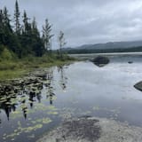 Wolf Pond, New York - 214 Reviews, Map | AllTrails