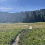 Todd Lake Loop, Oregon - 701 Reviews, Map | AllTrails
