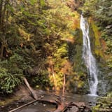 Madison Falls Trail, Washington - 1,485 Reviews, Map | AllTrails