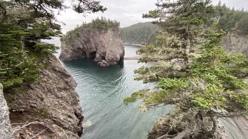 2023 Best Beach Trails in Chance Cove | AllTrails