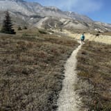 Loowit Falls Trail, Washington - 320 Reviews, Map | AllTrails