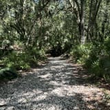 Econlockhatchee River Trail, Florida - 434 Reviews, Map | AllTrails