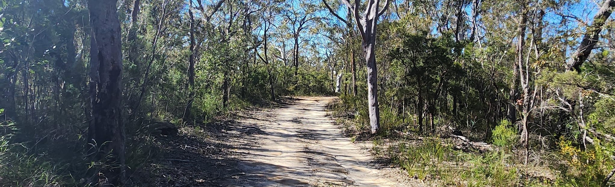 Wheeny Gap Falls via North Wheeny Gap Trail, New South Wales, Australia ...