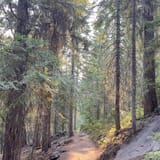 Hidden Lake Trail, Washington - 627 Reviews, Map | AllTrails