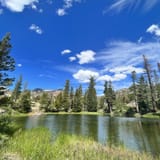 Grass Lake, California - 545 Reviews, Map | AllTrails