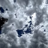 Grass Lake, California - 555 Reviews, Map | AllTrails