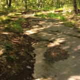 Western Ridge Trail to Overlook, New York - 677 Reviews, Map | AllTrails