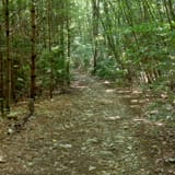 Western Ridge Trail to Overlook, New York - 677 Reviews, Map | AllTrails