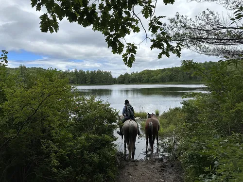 Best Hikes and Trails in Freedom | AllTrails