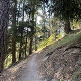 Dog River Trail, Oregon - 252 Reviews, Map | AllTrails