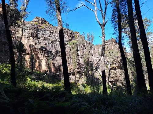 Best Hikes and Trails in Newnes State Forest | AllTrails