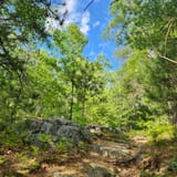 Butler Rock, Wisconsin - 113 Reviews, Map | AllTrails