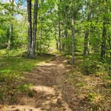 Butler Rock, Wisconsin - 113 Reviews, Map | AllTrails