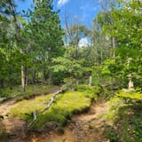 Butler Rock, Wisconsin - 113 Reviews, Map | AllTrails