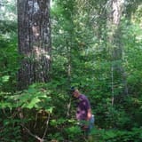 Manitouwadge Lake Trail, Ontario, Canada - 4 Reviews, Map | AllTrails