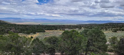 Best 10 Hikes and Trails in Great Basin National Park | AllTrails