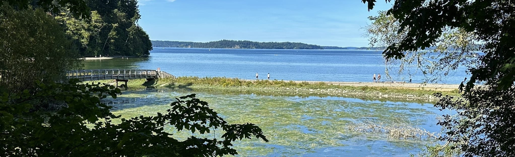 Sandy Beach Trail, Washington - 108 Reviews, Map | AllTrails