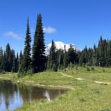 Tipsoo Lake Loop, Washington - 374 Reviews, Map | AllTrails