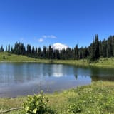 Tipsoo Lake Loop, Washington - 374 Reviews, Map | AllTrails