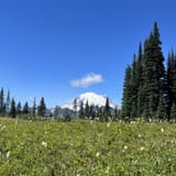 Tipsoo Lake Loop, Washington - 374 Reviews, Map | AllTrails