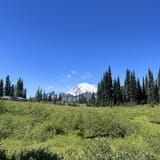Tipsoo Lake Loop, Washington - 374 Reviews, Map | AllTrails