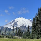 Tipsoo Lake Loop, Washington - 374 Reviews, Map | AllTrails