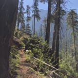 Duckabush River Trail to Five Mile Camp, Washington - 804 Reviews, Map ...