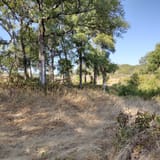 Good Water Trail from Cedar Breaks, Texas - 704 Reviews, Map | AllTrails