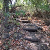 Good Water Trail from Cedar Breaks, Texas - 704 Reviews, Map | AllTrails