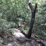 Leatherman Cave and Crane's Lookout Trail, Connecticut - 882 Reviews ...