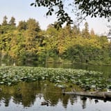 Lake Fenwick, Washington - 666 Reviews, Map | AllTrails