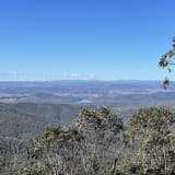 Mount Coree Summit Trail, New South Wales, Australia - 27 Reviews, Map ...
