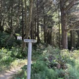 Cook's Ridge and Gwynn Creek Loop, Oregon - 691 Reviews, Map | AllTrails