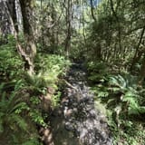 Cook's Ridge and Gwynn Creek Loop, Oregon - 691 Reviews, Map | AllTrails