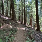 Cook's Ridge and Gwynn Creek Loop, Oregon - 691 Reviews, Map | AllTrails