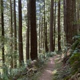 Cook's Ridge and Gwynn Creek Loop, Oregon - 691 Reviews, Map | AllTrails