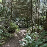 Cook's Ridge and Gwynn Creek Loop, Oregon - 691 Reviews, Map | AllTrails