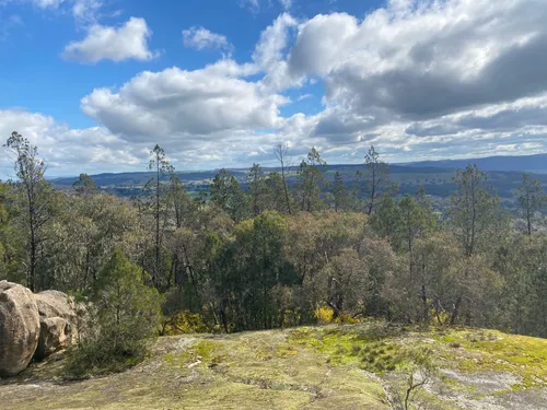 Best 10 Hiking Trails in Beechworth Historic Park | AllTrails