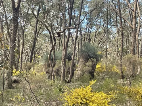 Best Camping Trails in Mount Camel | AllTrails