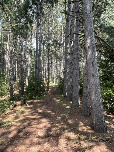 Best Hikes and Trails in Turtle-Flambeau Scenic Waters Area | AllTrails
