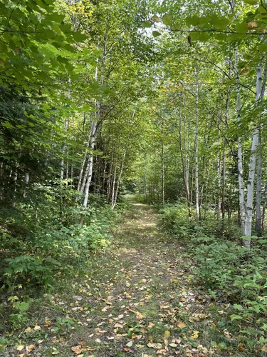 Best Hikes and Trails in Turtle-Flambeau Scenic Waters Area | AllTrails