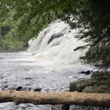 Bond Falls Loop, Michigan - 412 Reviews, Map | AllTrails