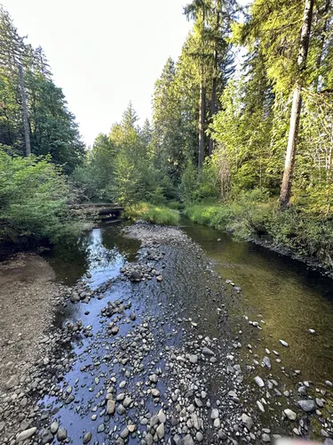 Best Camping Trails in Capitol State Forest | AllTrails