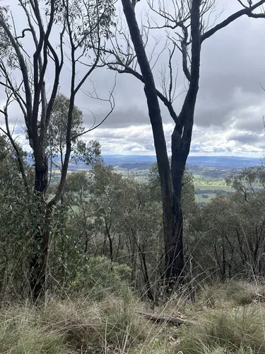 10 Best Off Road Driving Trails in Victoria | AllTrails