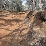 Baranduda Range Loop, Victoria, Australia - 21 Reviews, Map | AllTrails